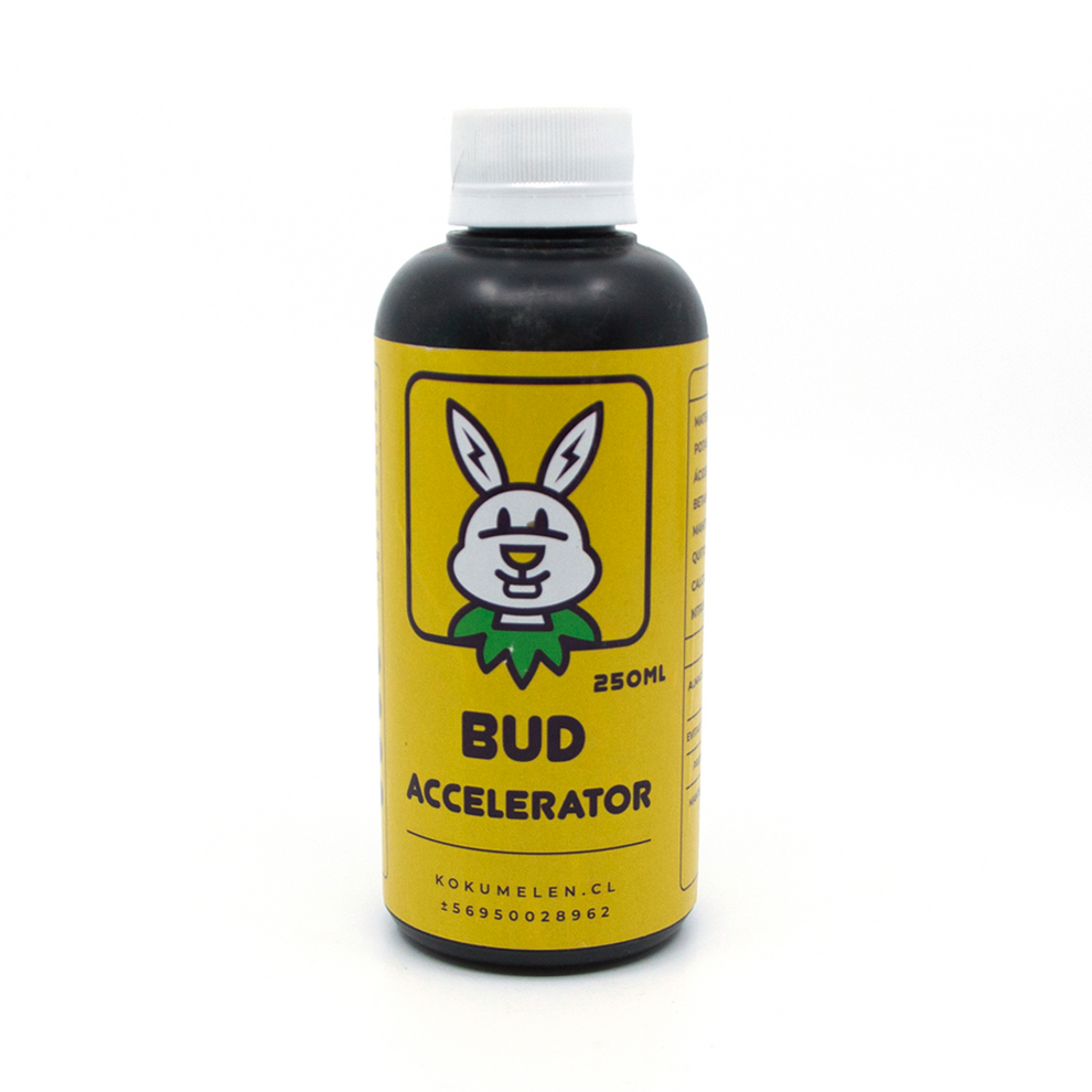 Bud Accelerator – DLF Distribucion