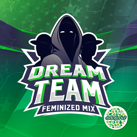 Dream Team Feminized Mix – DLF Distribucion